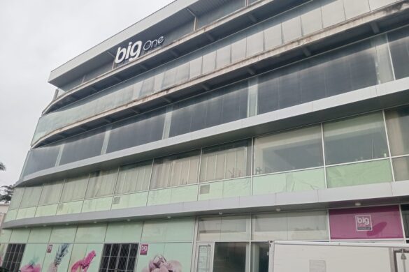 O Caso Pitta Gróz: Quando a Justiça se dobra ao poder - Jornal Diário ...